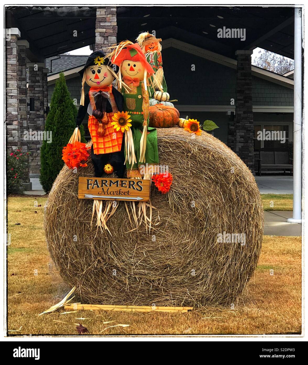 Roll of hay with scarecrows Stock Photo - Alamy