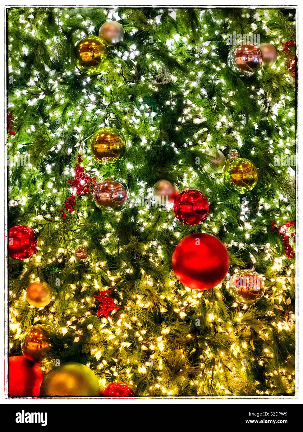 Christmas tree bulbs Stock Photo - Alamy