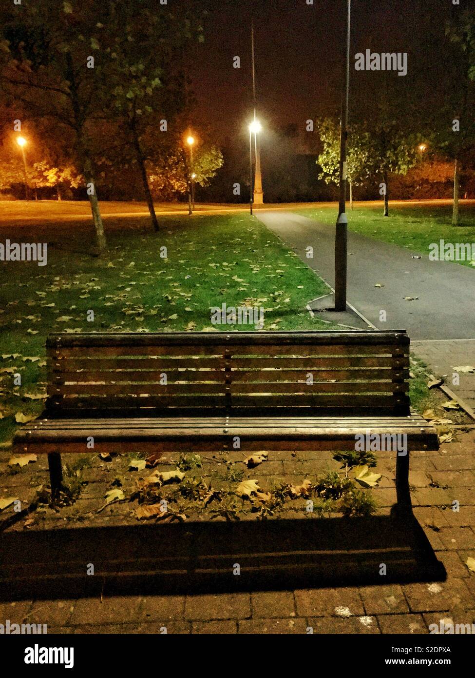 The park at midnight Stock Photo - Alamy