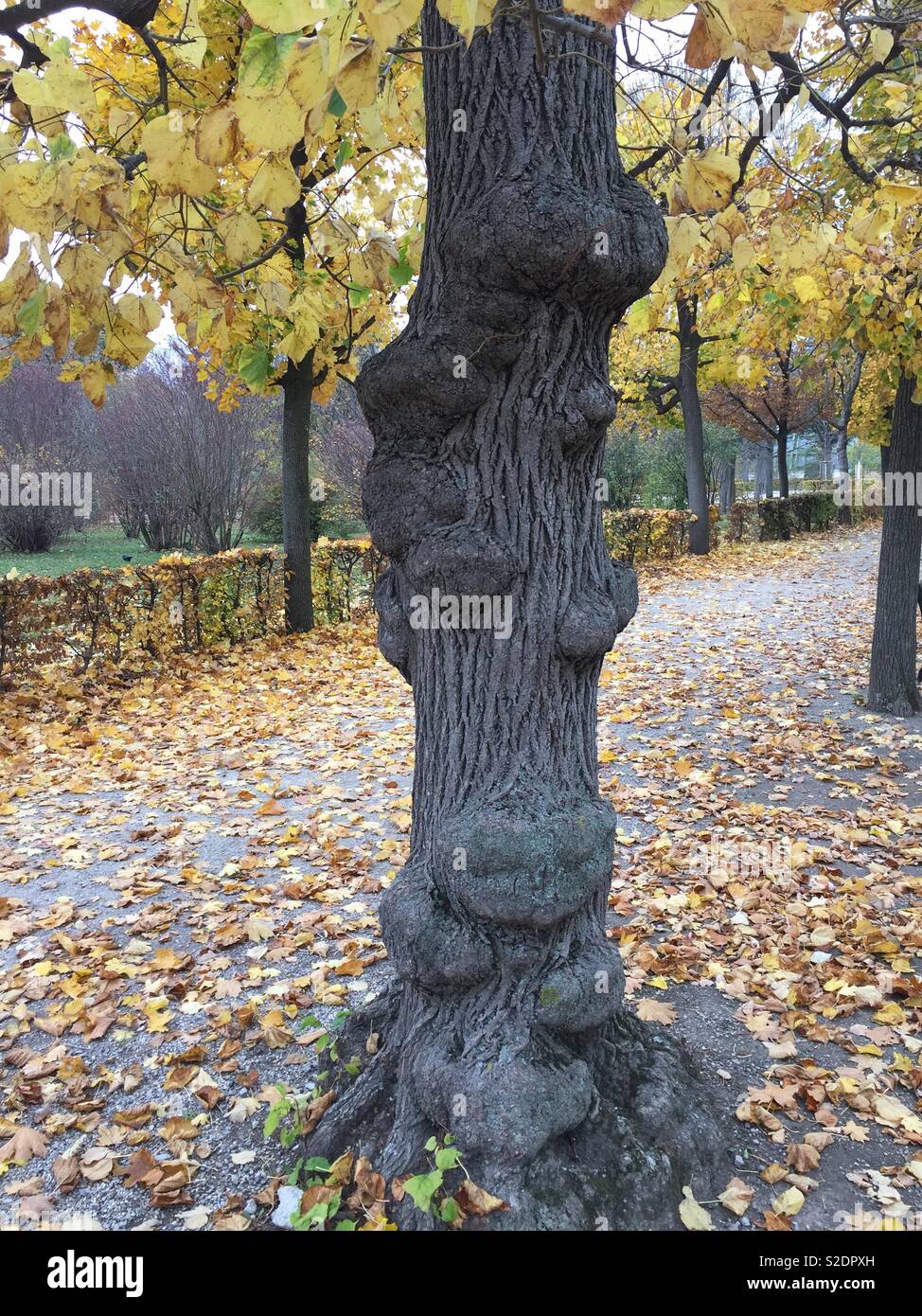 Bobbly hi-res stock photography and images - Alamy