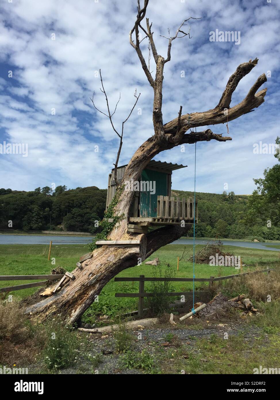 Tree house by a river Stock Photo - Alamy