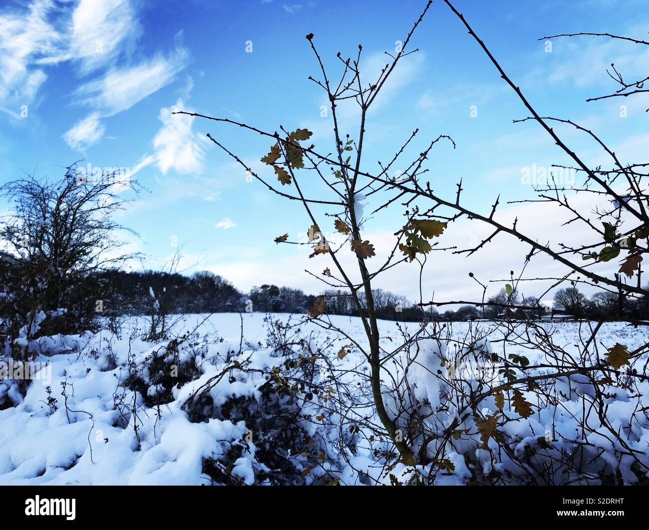 Lawley High Resolution Stock Photography and Images - Alamy