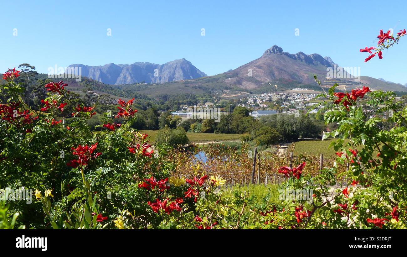 Stellenbosch mountains hi-res stock photography and images - Alamy
