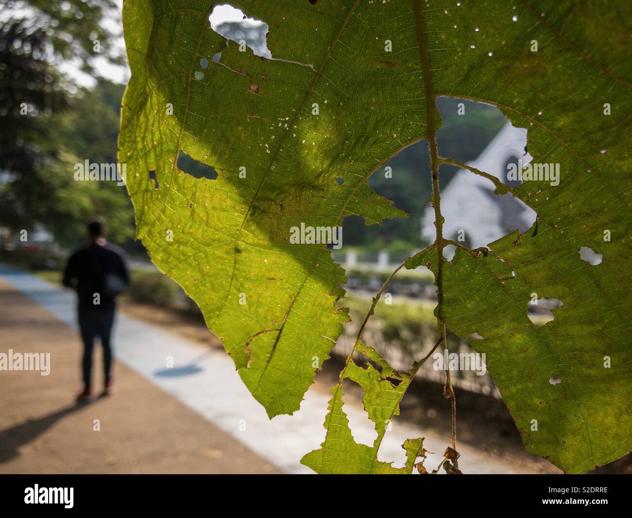 Jalan raja chulan hi-res stock photography and images - Alamy