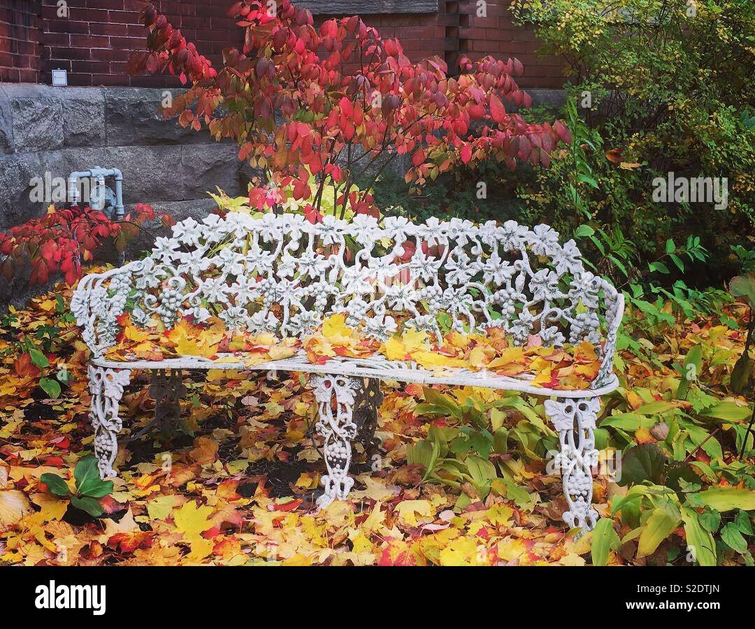 Old fashion bench hi-res stock photography and images - Alamy