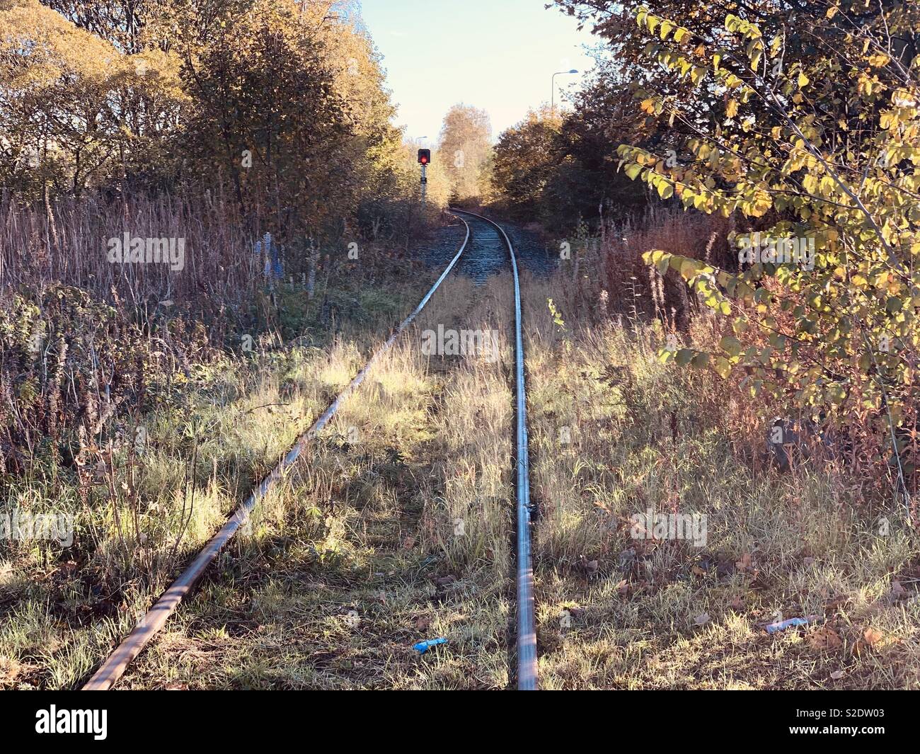 Overgrown railway hi-res stock photography and images - Alamy
