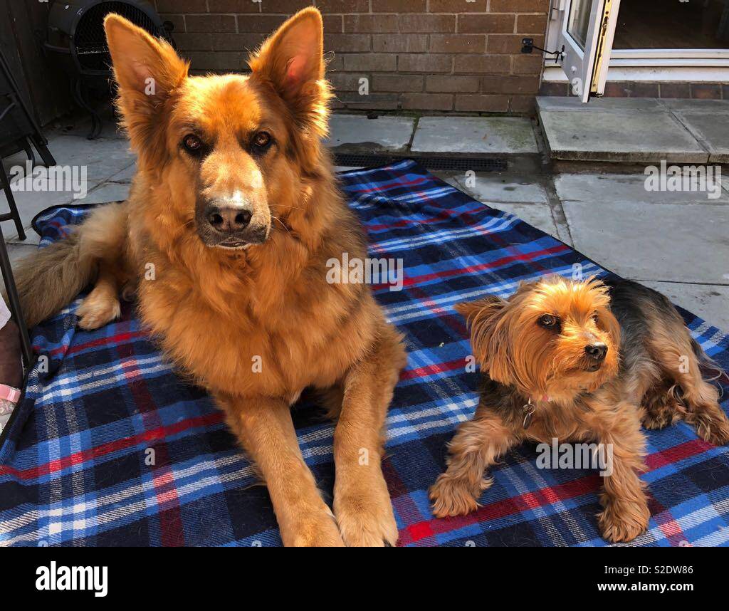 Little n large Stock Photo - Alamy