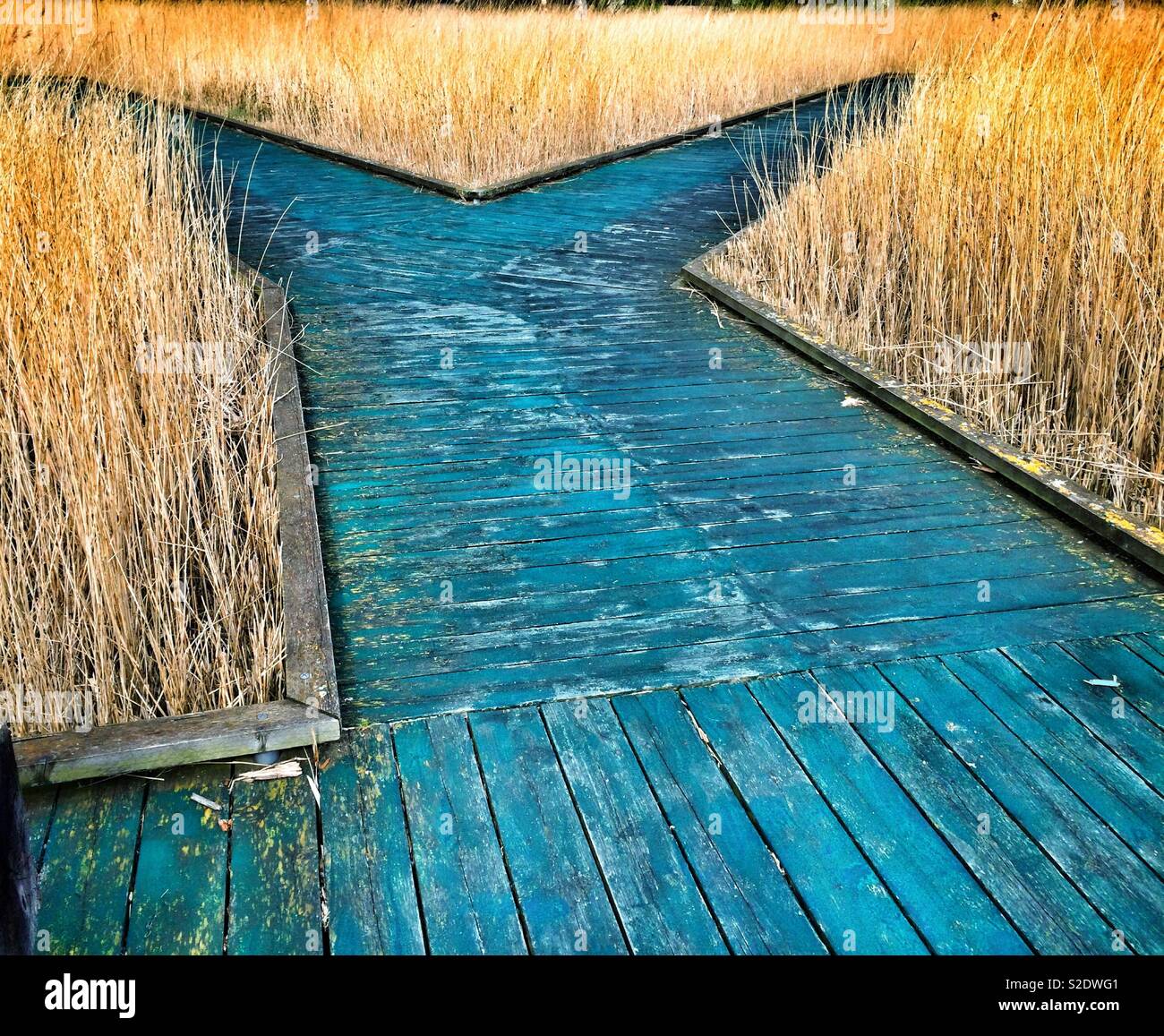 Reeds crossroads hi-res stock photography and images - Alamy