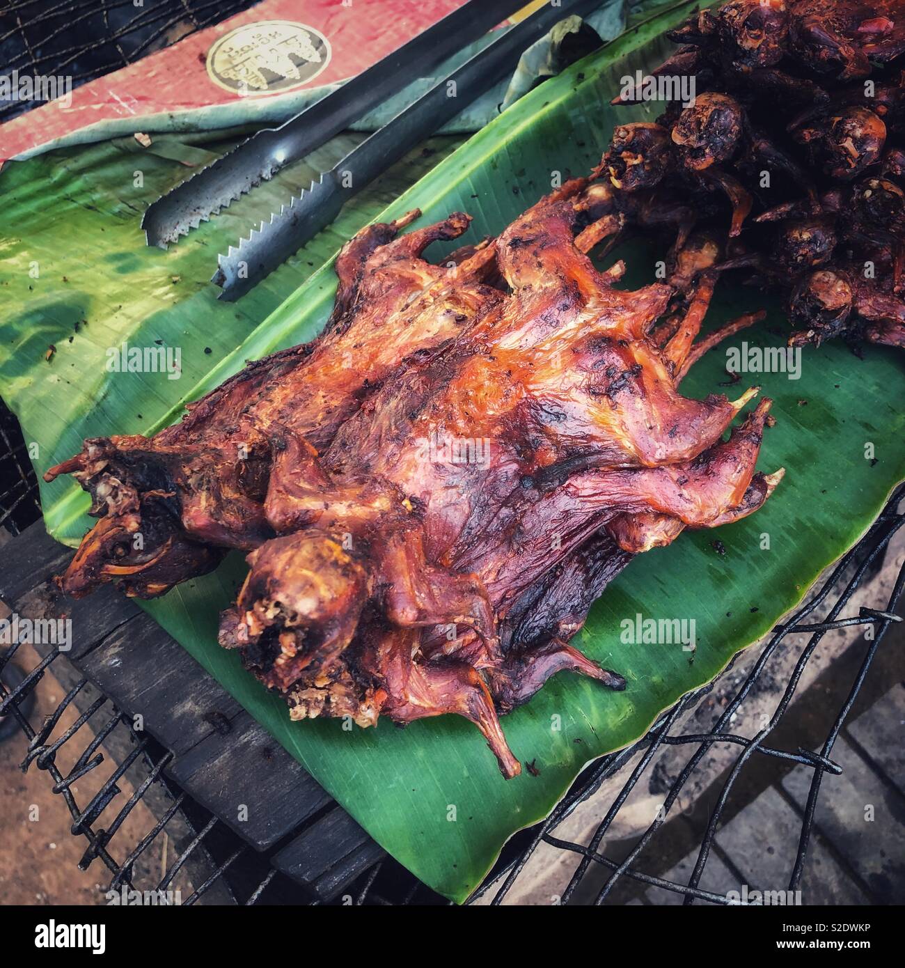 Fresh rats hi-res stock photography and images - Alamy