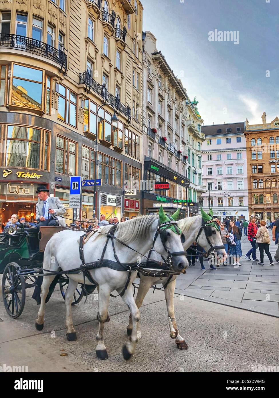 Vienna horse tourist hi-res stock photography and images - Alamy