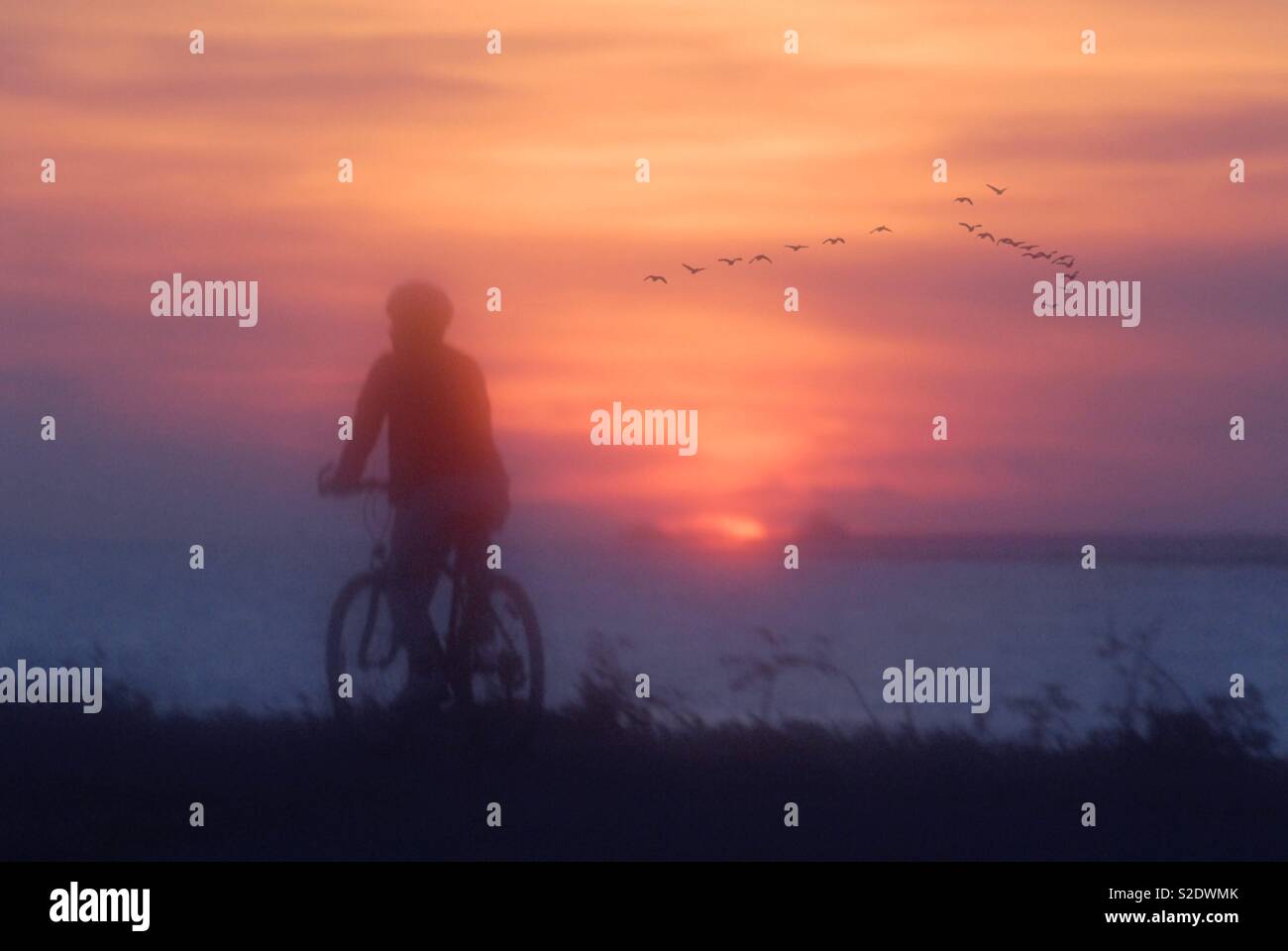 Cycling into the sunset Stock Photo - Alamy