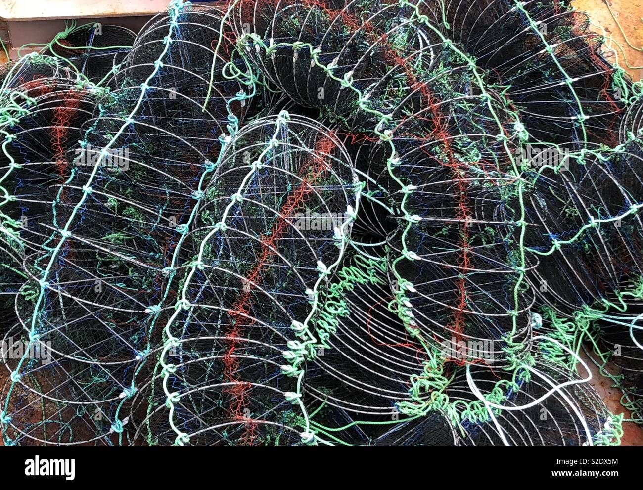 Slinky Green and Red Fishing Nets Stock Photo - Alamy