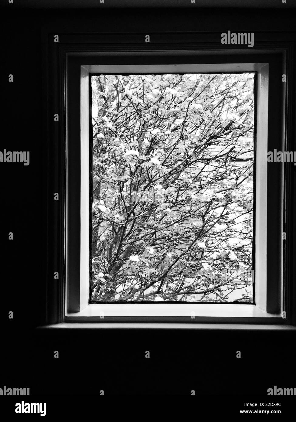 View through a window Stock Photo - Alamy