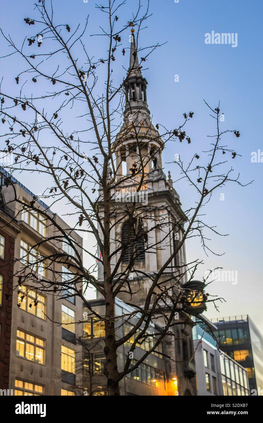 A tree in the City of London Stock Photo - Alamy