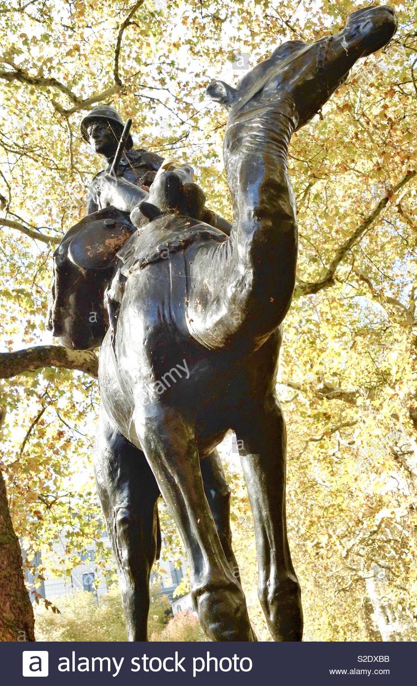 Camel Mounted Stock Photos & Camel Mounted Stock Images - Alamy