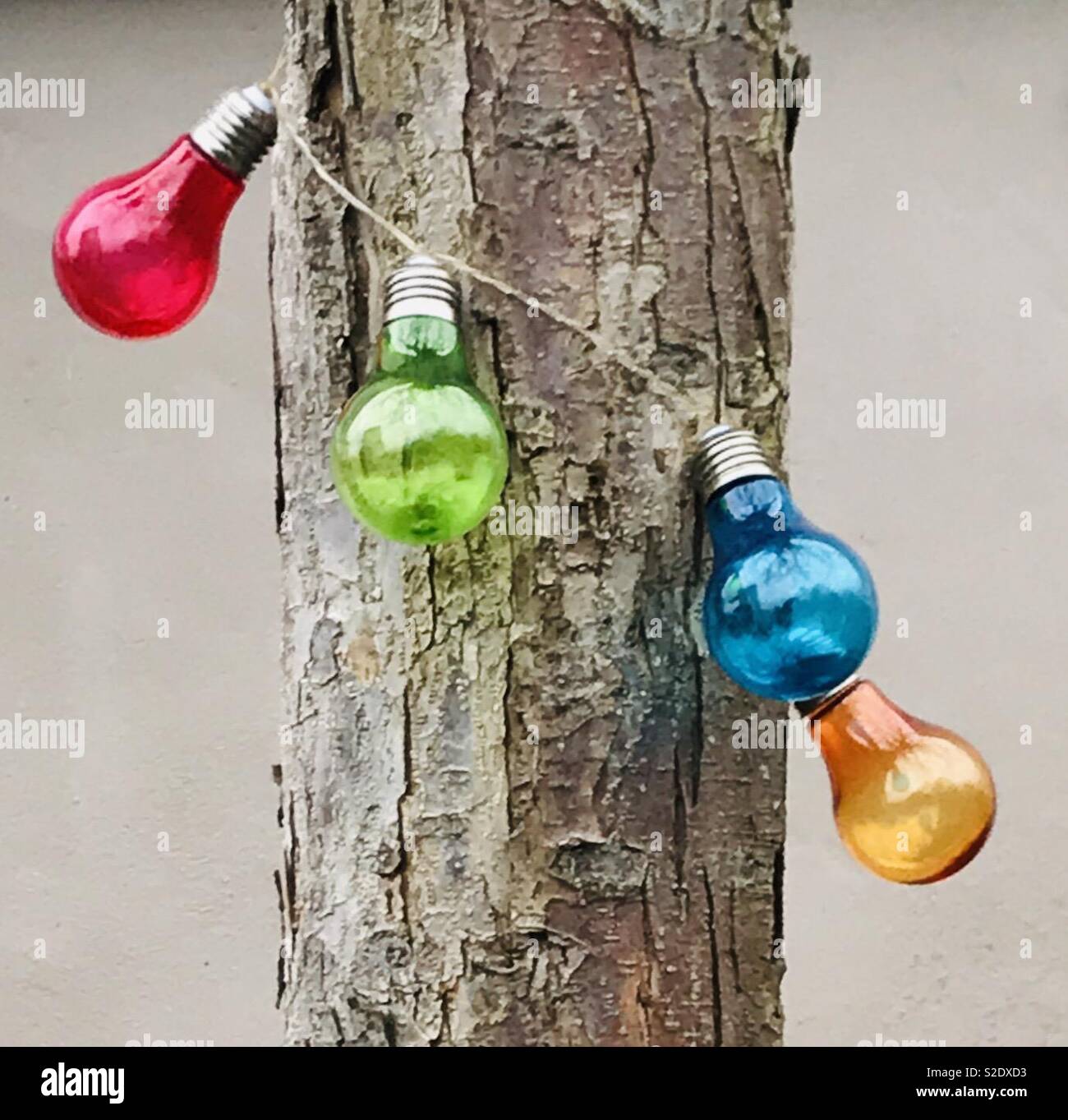 Christmas colourful bulb lights wrapped around a tree Stock Photo - Alamy