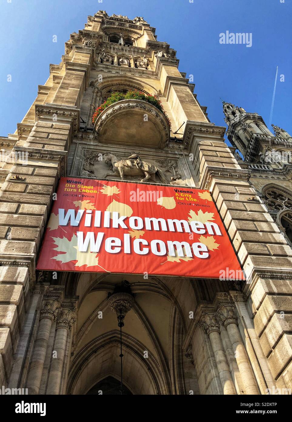 Rathaus, city hall, in Vienna Stock Photo - Alamy