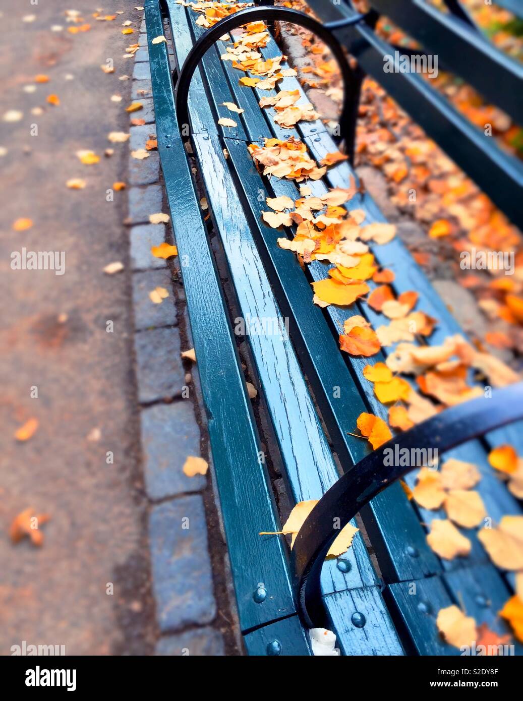 Colorful falling leaves on a park bench in Central Park, NYC, USA Stock ...