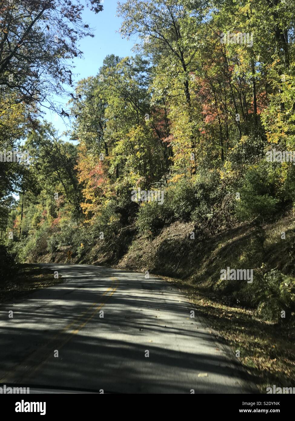 Fall trees road hi-res stock photography and images - Alamy
