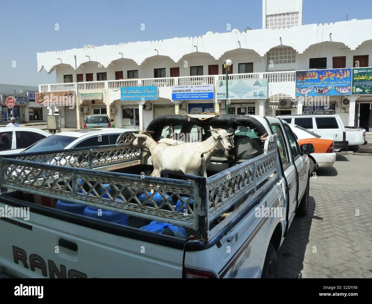 Goat truck hi-res stock photography and images - Alamy