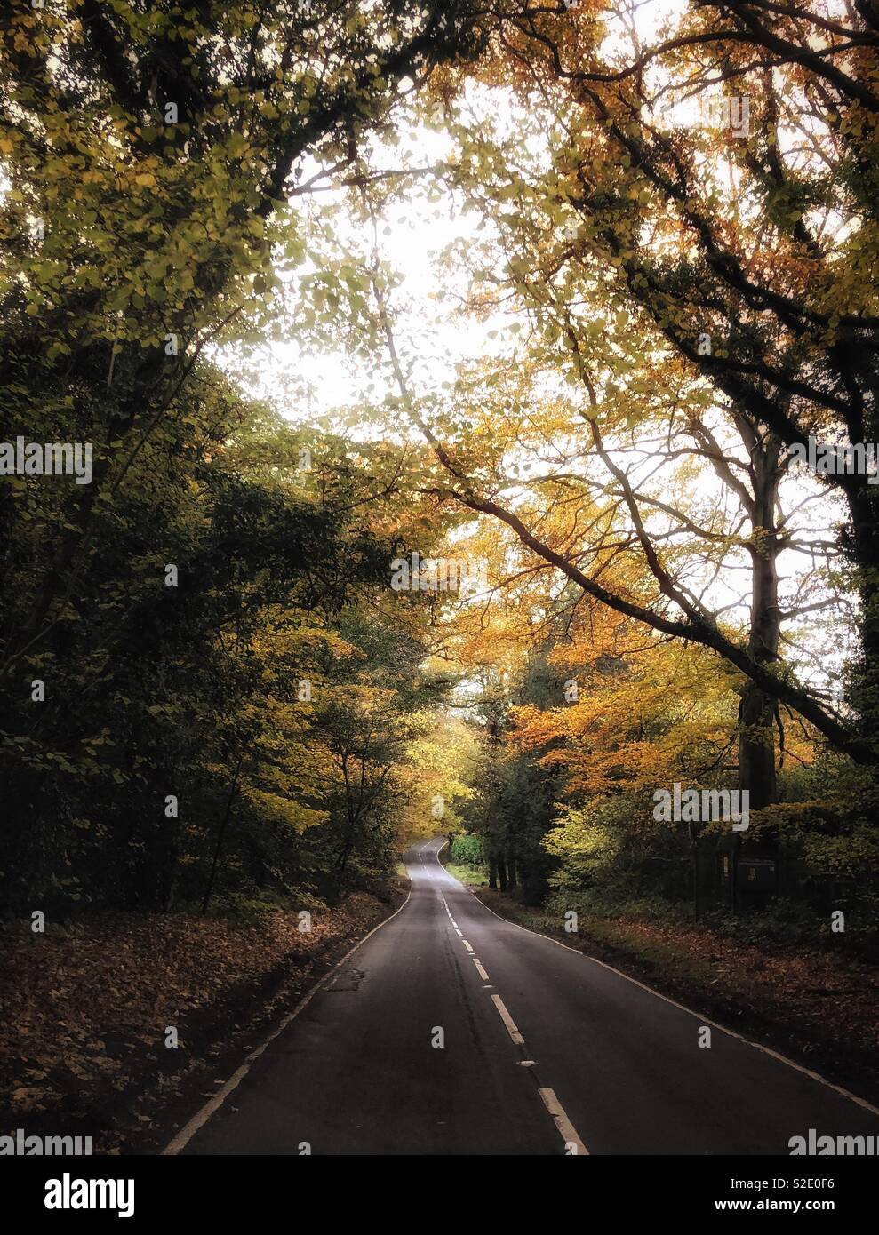 Drive by scenery hi-res stock photography and images - Alamy