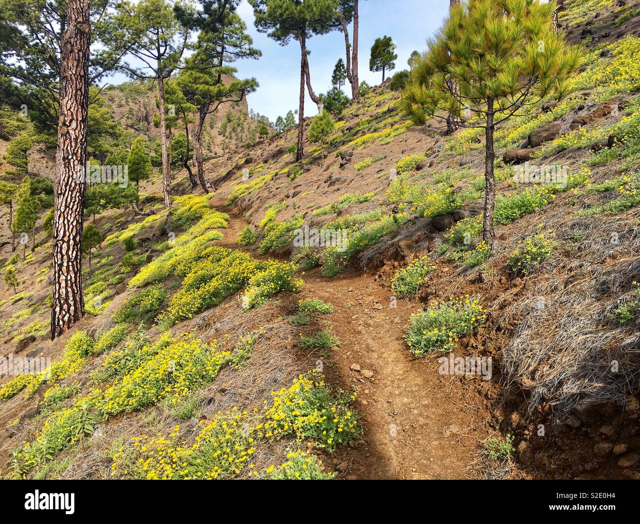 Volcano rock walk hi-res stock photography and images - Alamy