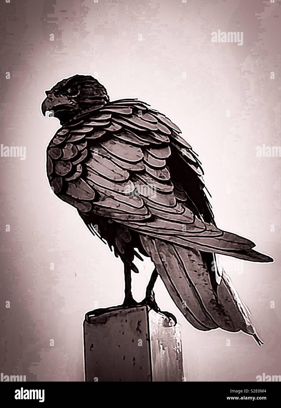 Eagle post hi-res stock photography and images - Alamy