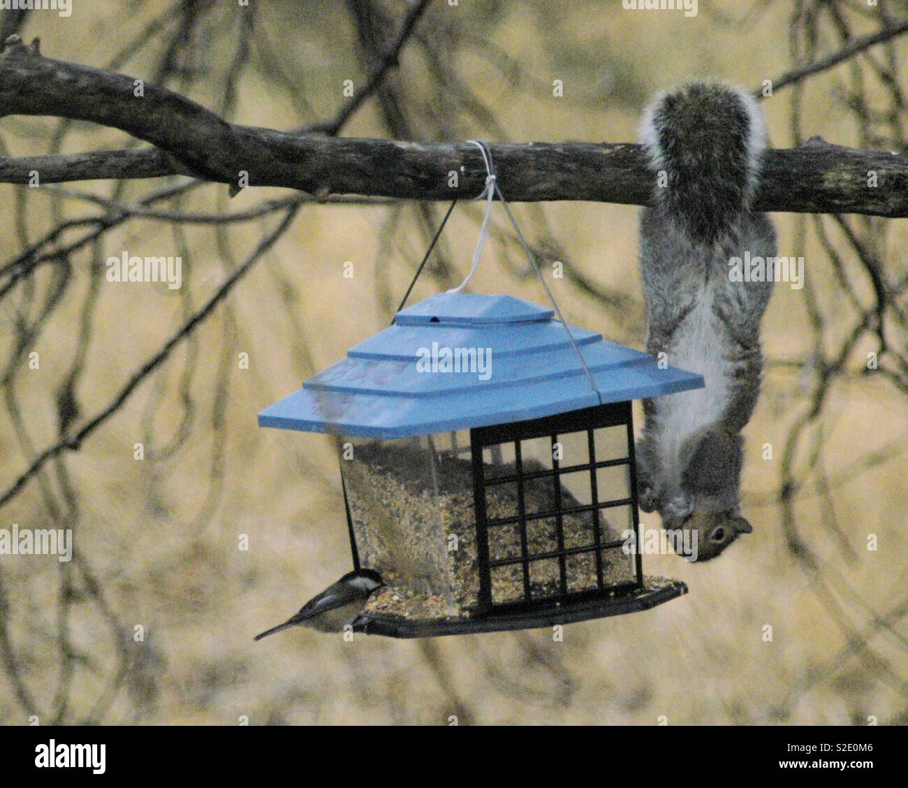 Hanging loose hi-res stock photography and images - Alamy