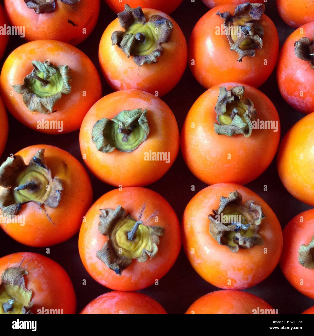 Fruit of persimmon Stock Photo - Alamy
