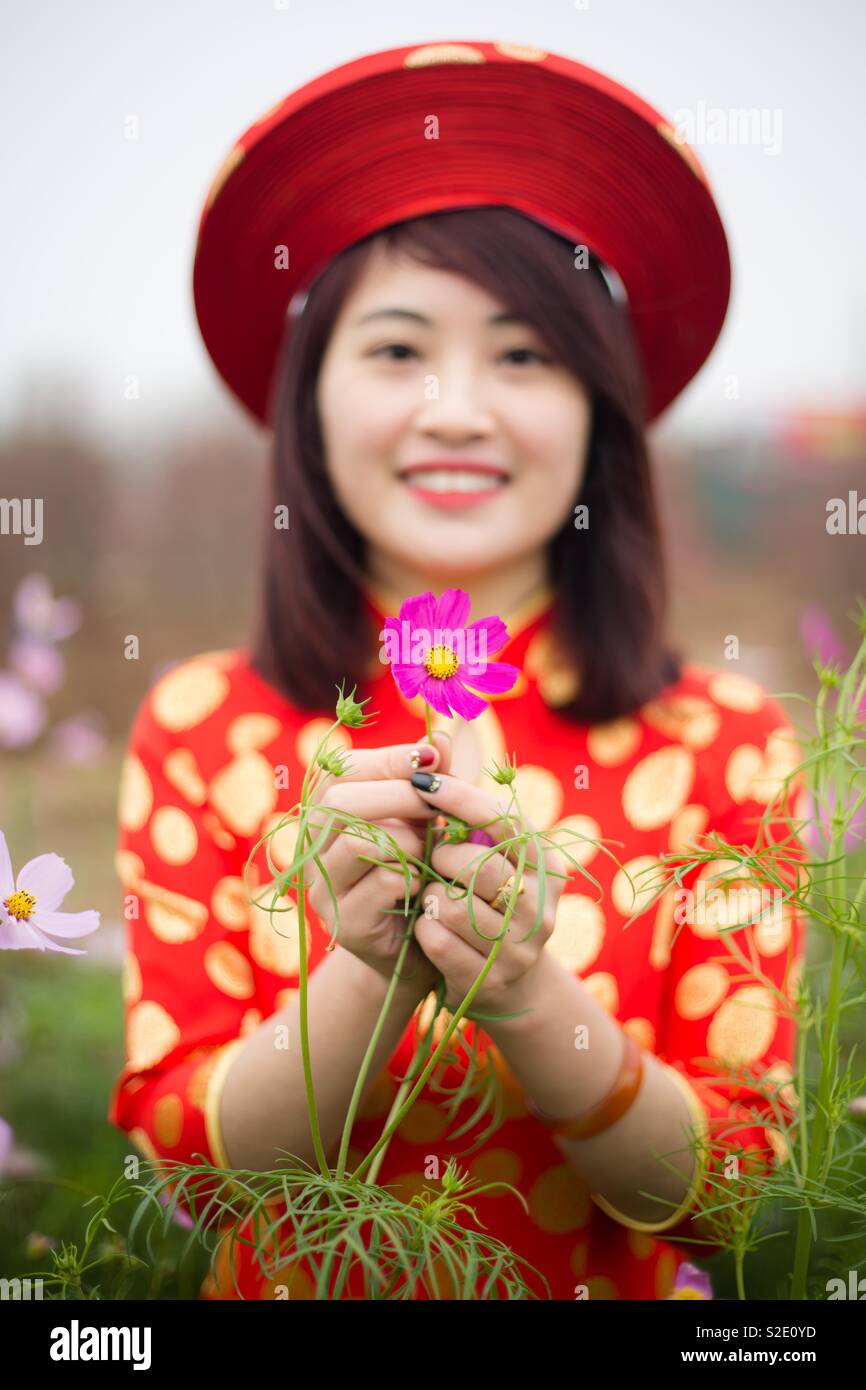 Vietnamese traditional style Stock Photo - Alamy