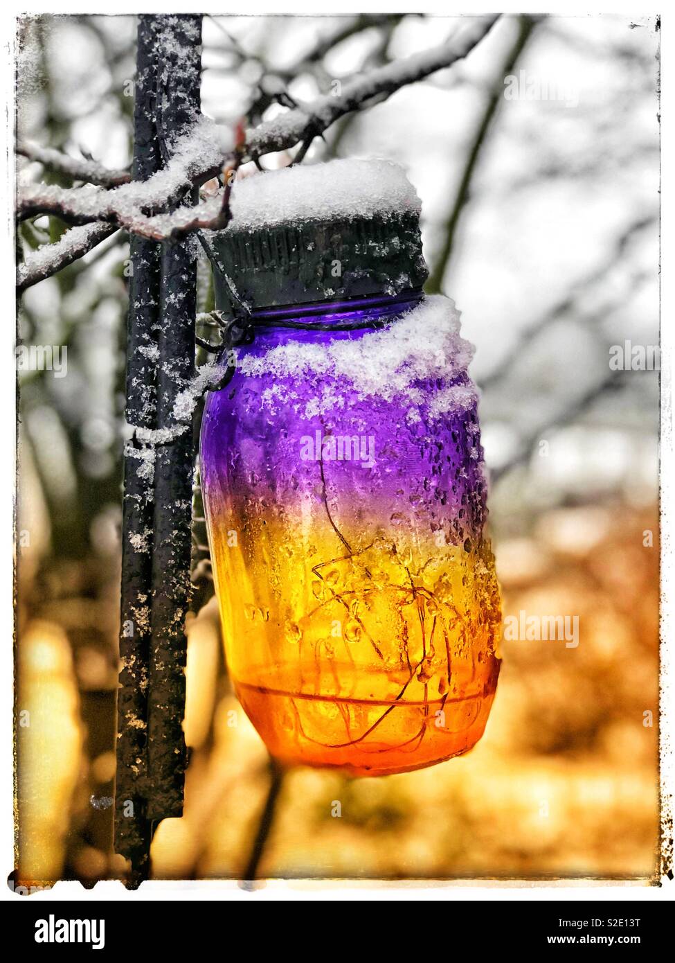 Mason jar in tree Stock Photo - Alamy