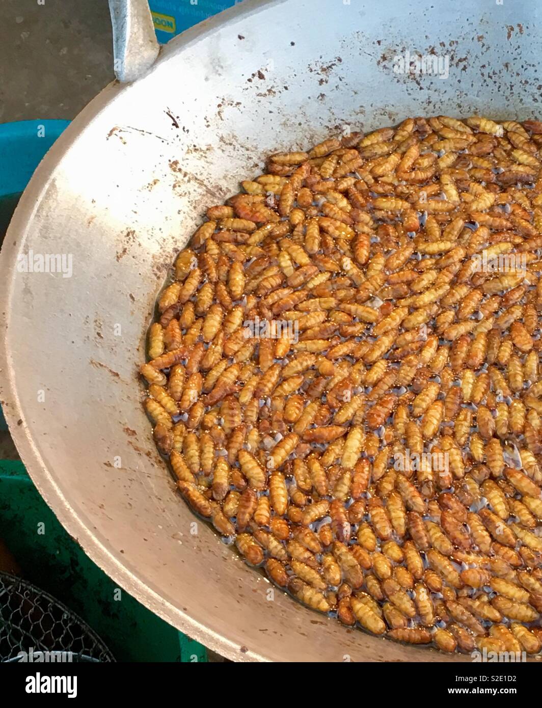 Fried worms hi-res stock photography and images - Alamy