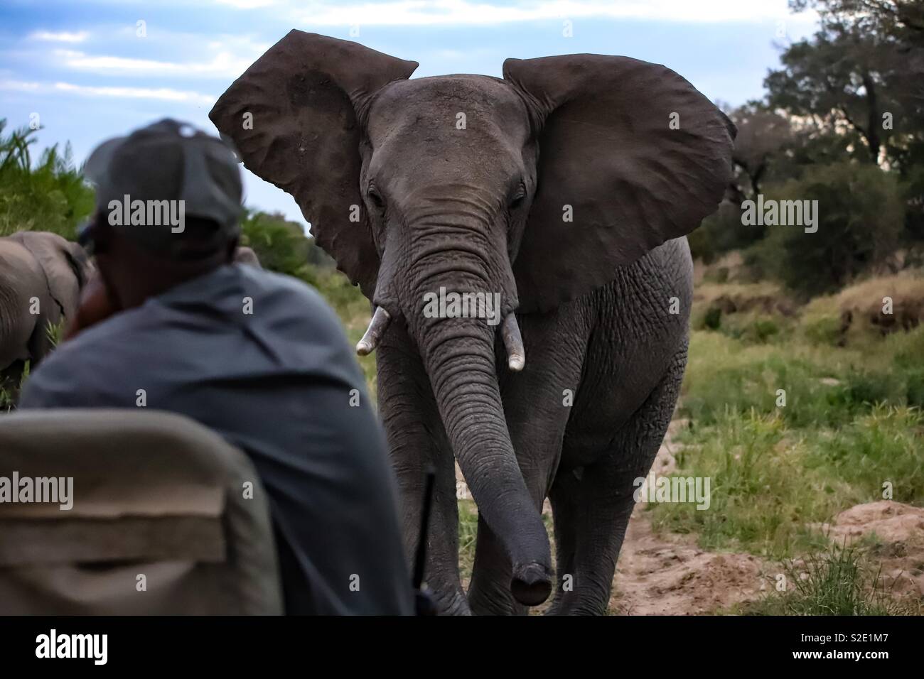 The big fella hi-res stock photography and images - Alamy