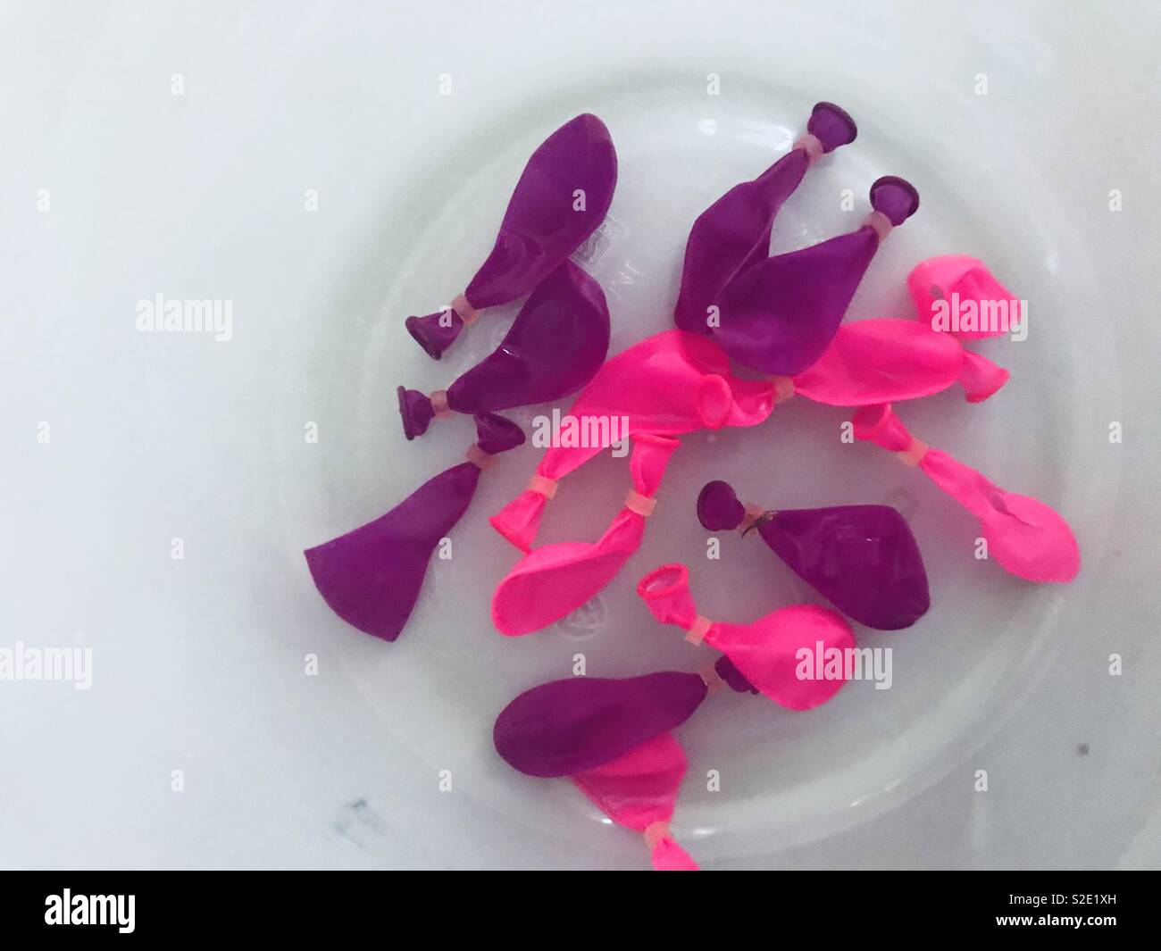 A colorful variety of purple and pink water balloons Stock Photo - Alamy
