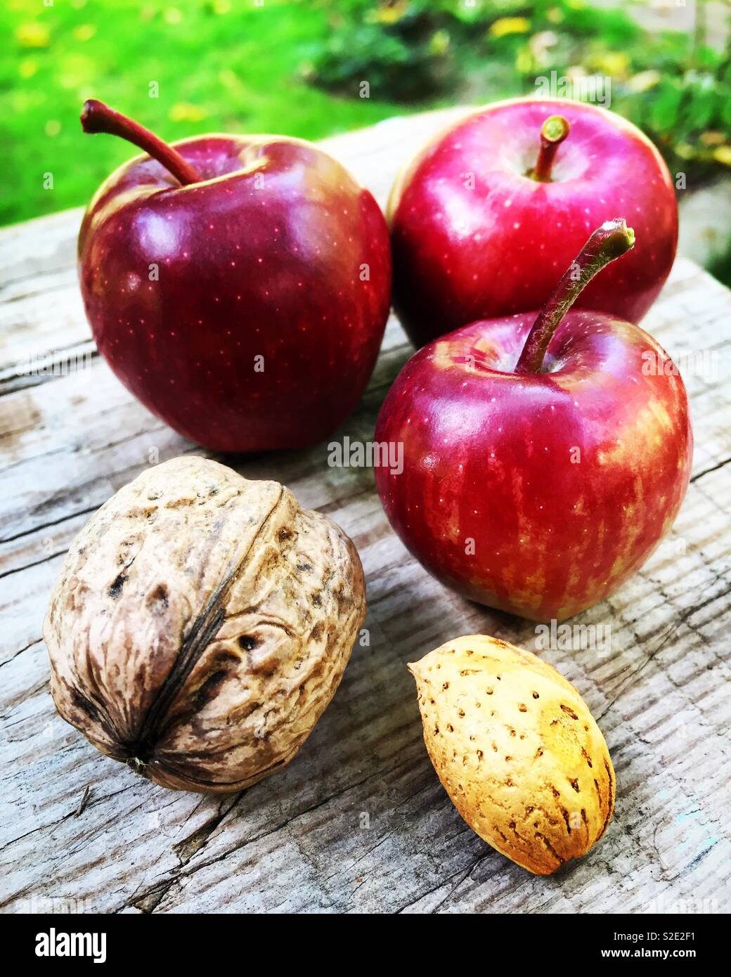 Miniature apple hi-res stock photography and images - Alamy