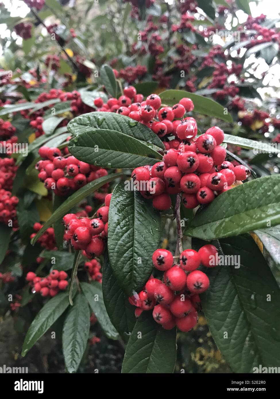 Beautiful changing seasons hi-res stock photography and images - Alamy