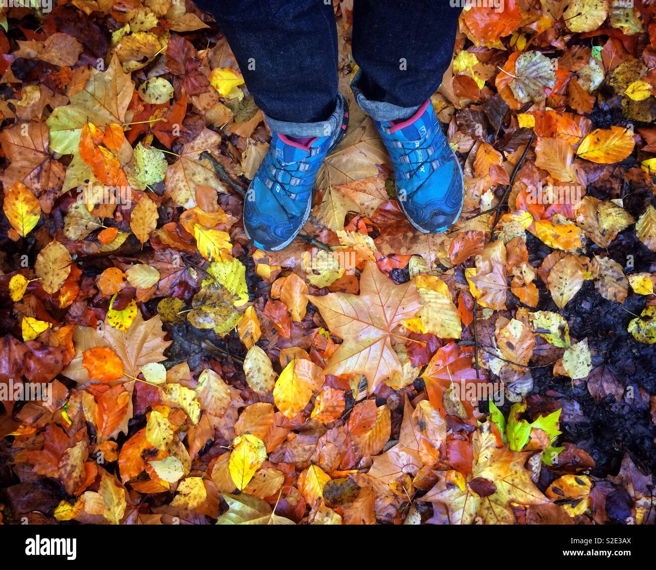 The feet of a person wearing trainers and jeans standing amongst ...