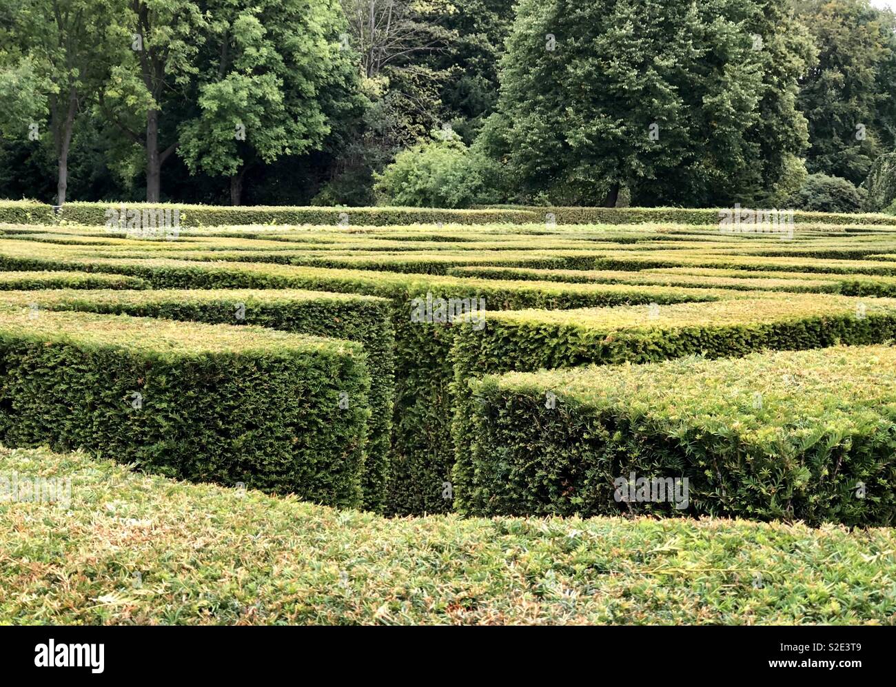 Topiary maze hi-res stock photography and images - Alamy
