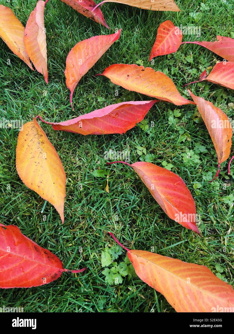 Autumn in England Stock Photo - Alamy
