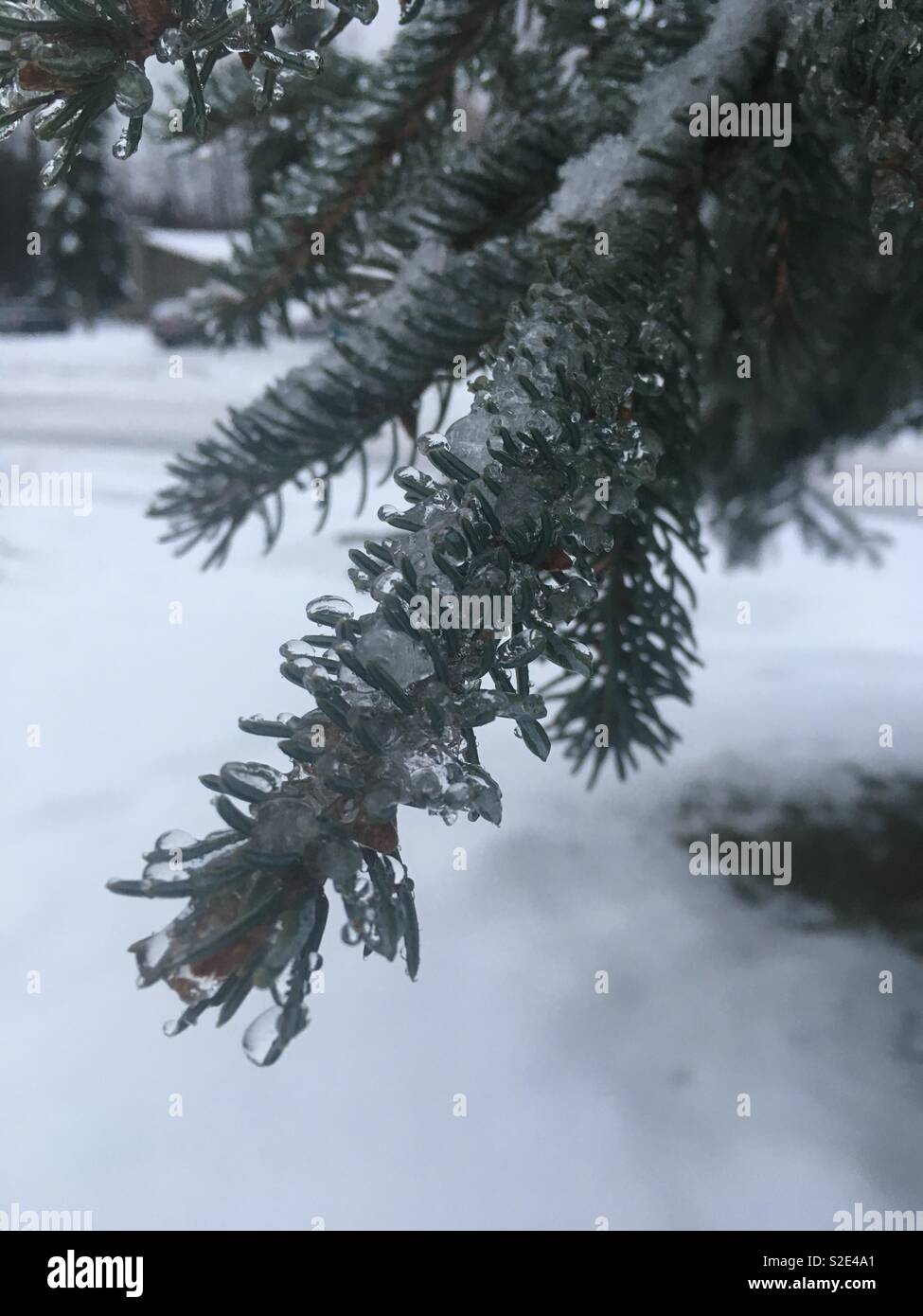 Frozen still hi-res stock photography and images - Alamy