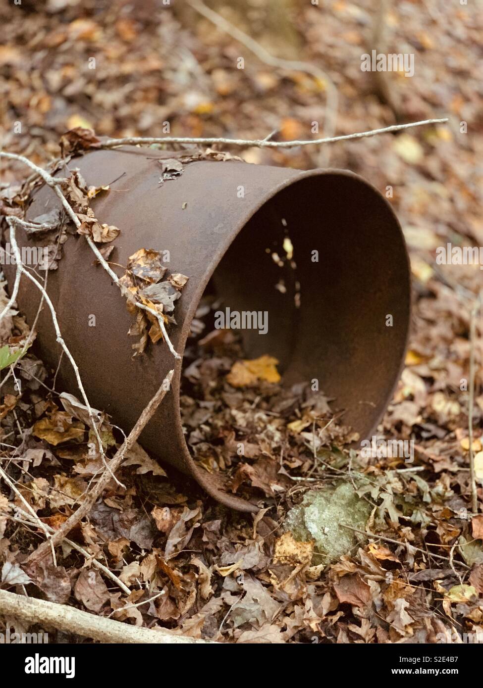 Old burn in nature hi-res stock photography and images - Alamy