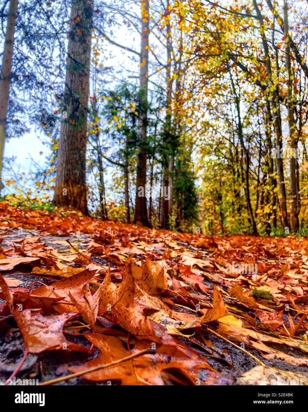 Cene rural hi-res stock photography and images - Alamy