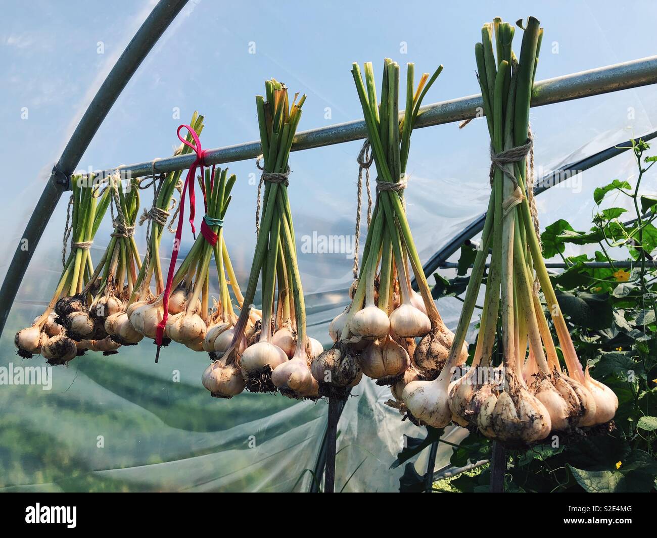 Hanging loop hi-res stock photography and images - Alamy