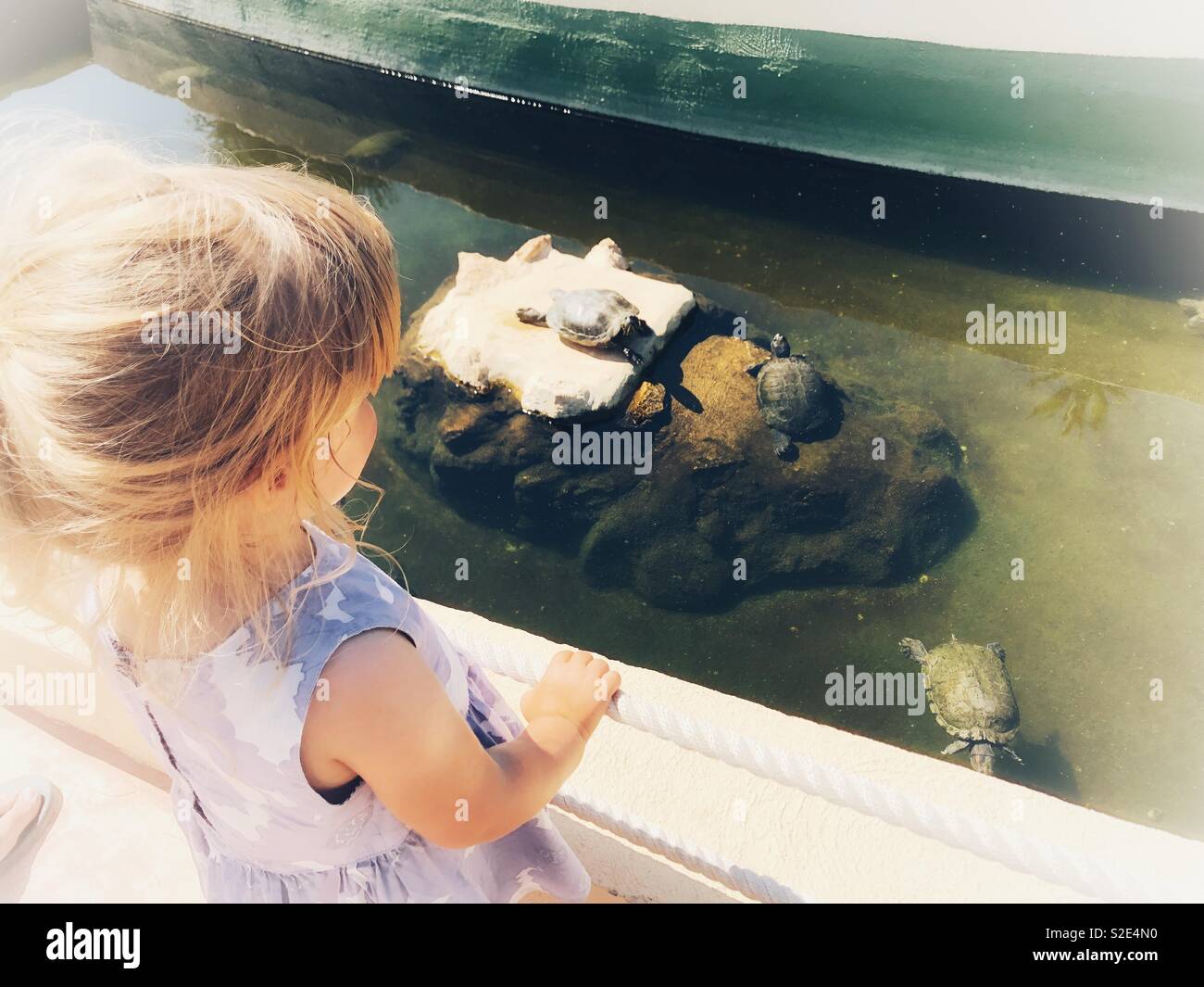 The turtle girl hi-res stock photography and images - Alamy