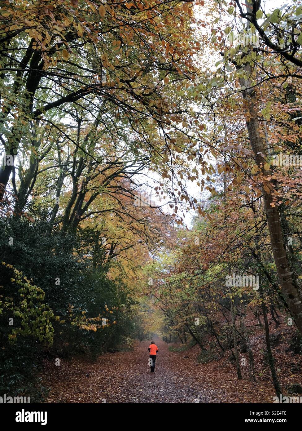 Devon storm runner Stock Photo - Alamy