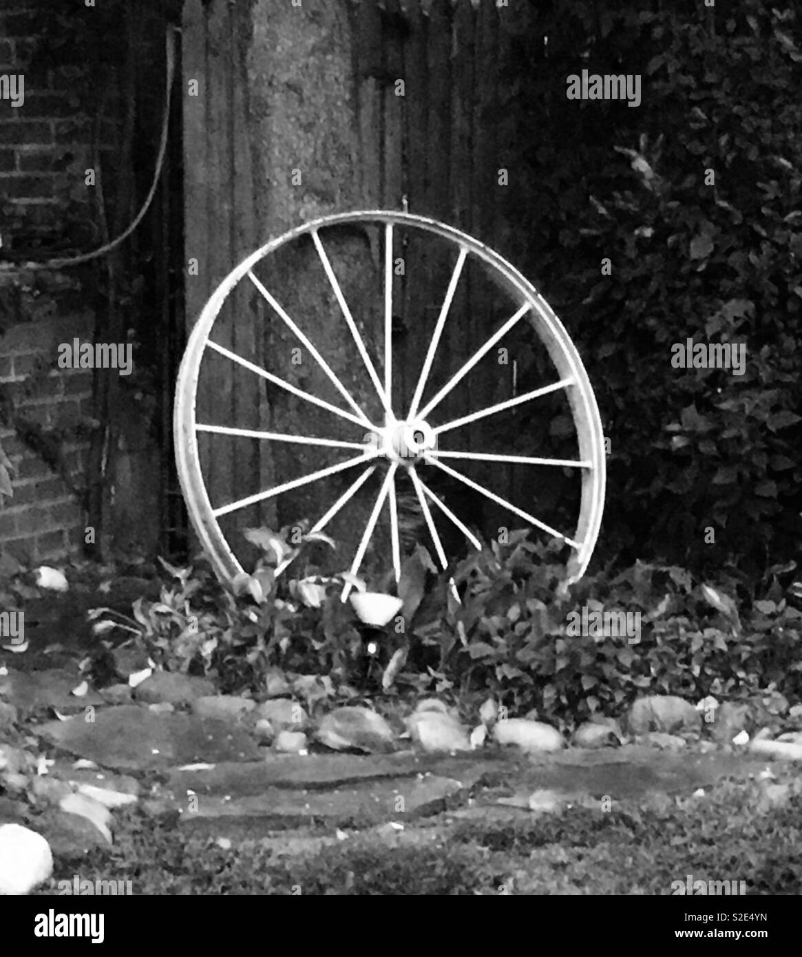 Wheel tree hi-res stock photography and images - Alamy