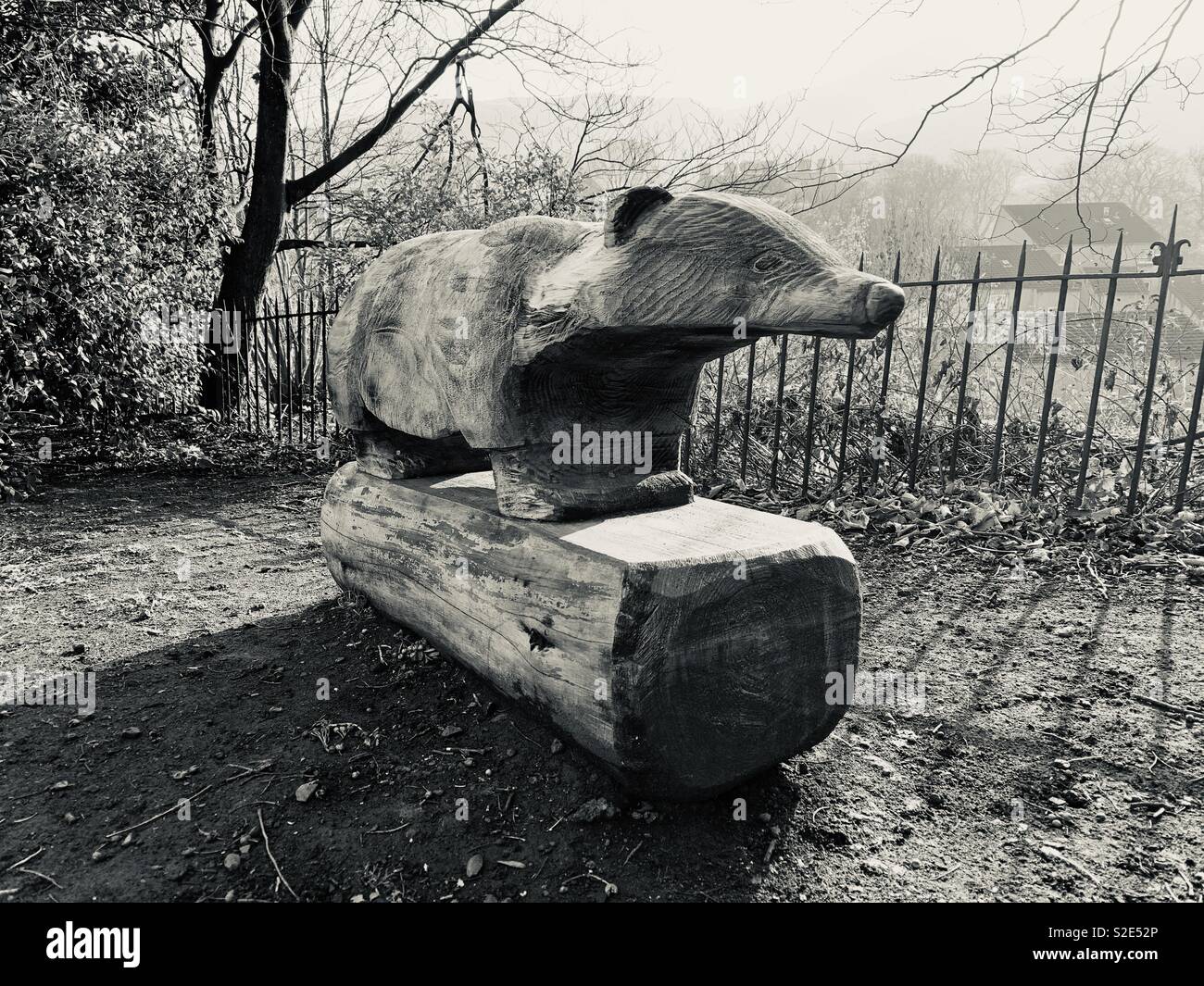 Outdoor creature hi-res stock photography and images - Alamy