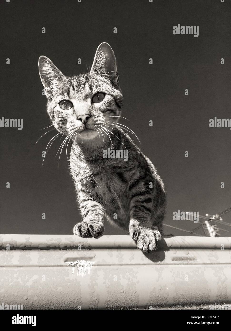 Day week month year lover hi-res stock photography and images - Alamy