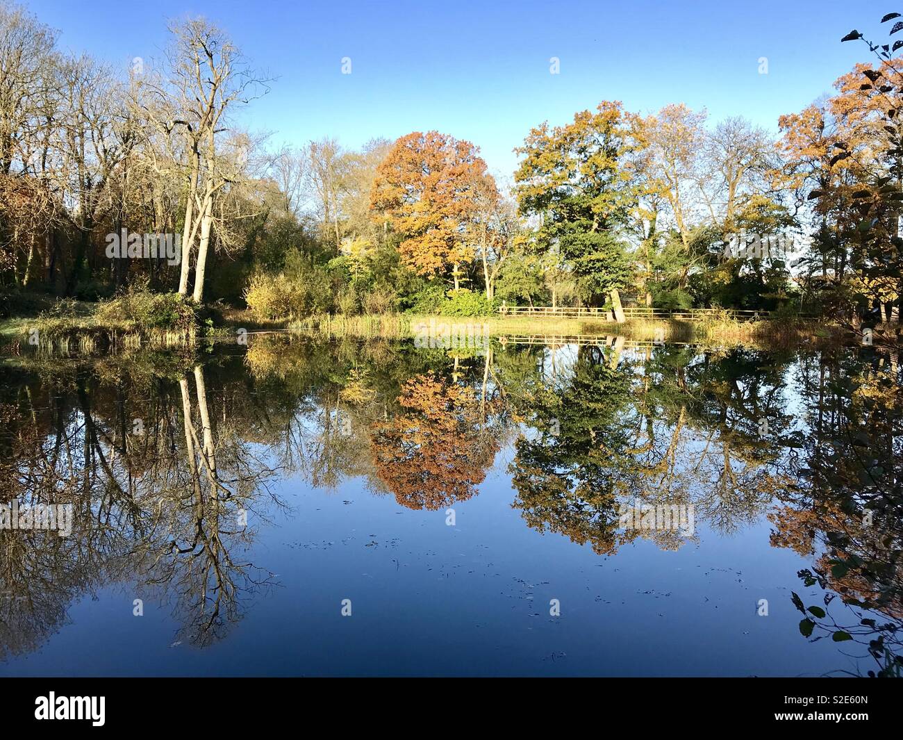 Image pond hi-res stock photography and images - Alamy