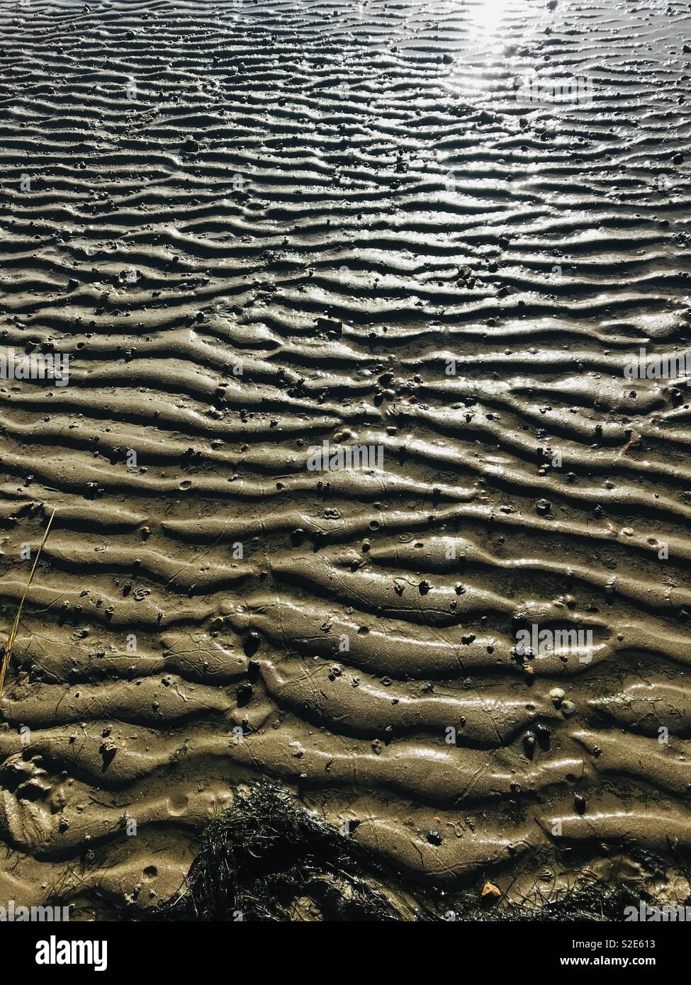 Sunshine ripples hi-res stock photography and images - Alamy